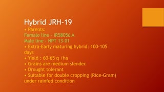 hybrid seed production in Rice ELP program.pptx
