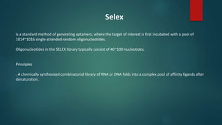 Shah Presentation1[1811].pptx