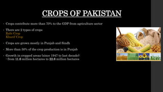 Agriculture of Pakistan | PPTX