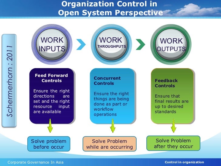 Control in Organization (Corporate Governance)