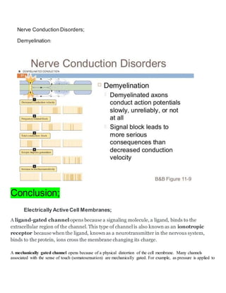 Generation and conduction of action potential. | DOCX