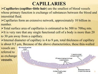 functions of capillaries and its permiability-ayurveda-panchakarma ...