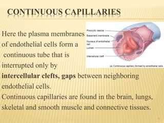 functions of capillaries and its permiability-ayurveda-panchakarma | PPTX