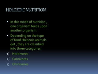 Shaili (357) | PPT | Free Download