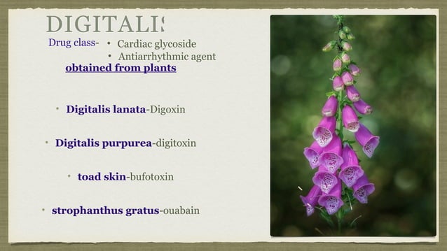 Digitalis toxicity.pptx kd tripathi conte | PPTX | Heart and Cardiovascular Diseases | Diseases ...