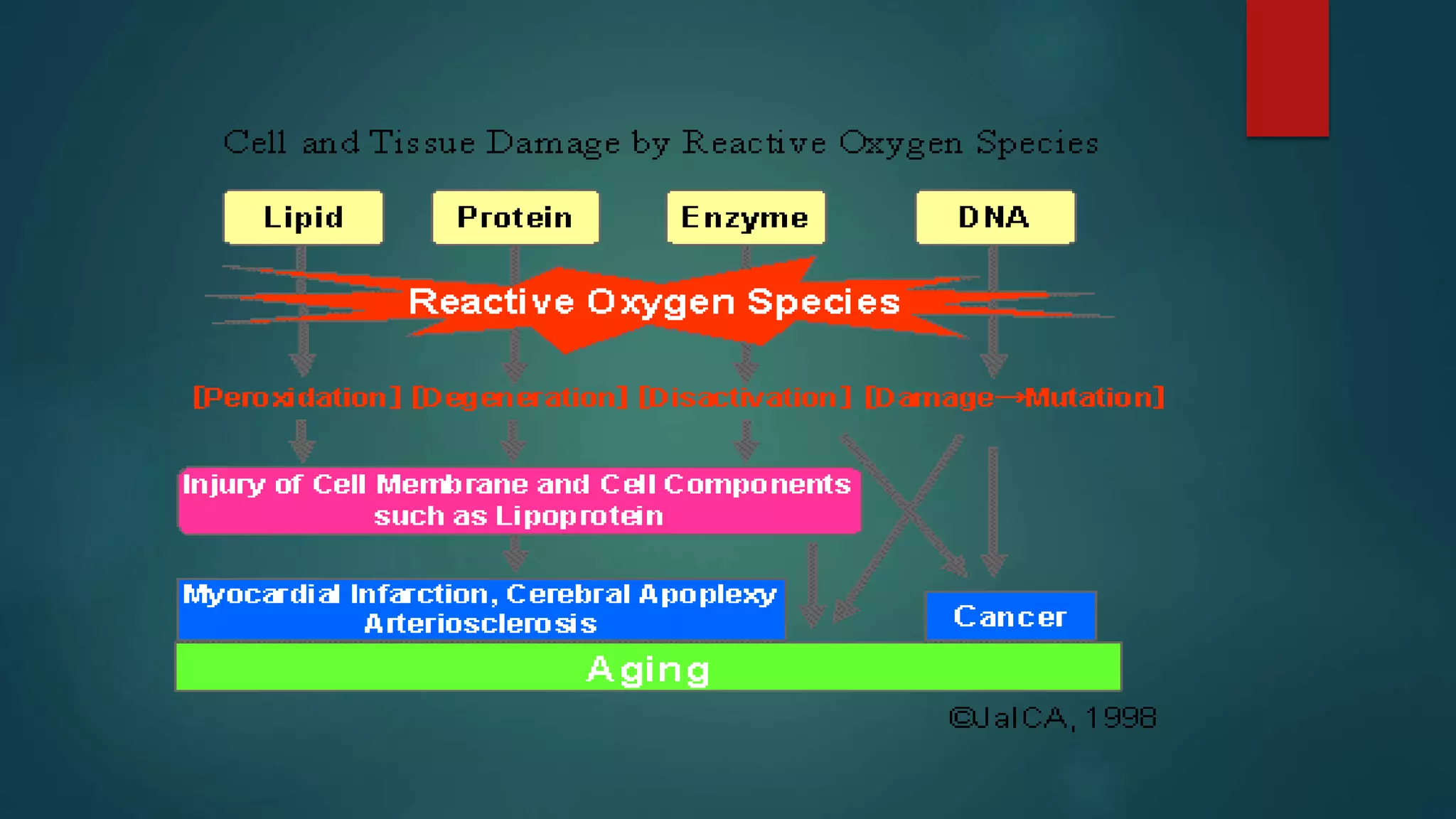 oxidative stress | PPTX
