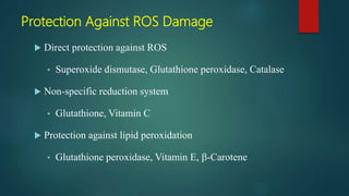 oxidative stress | PPTX