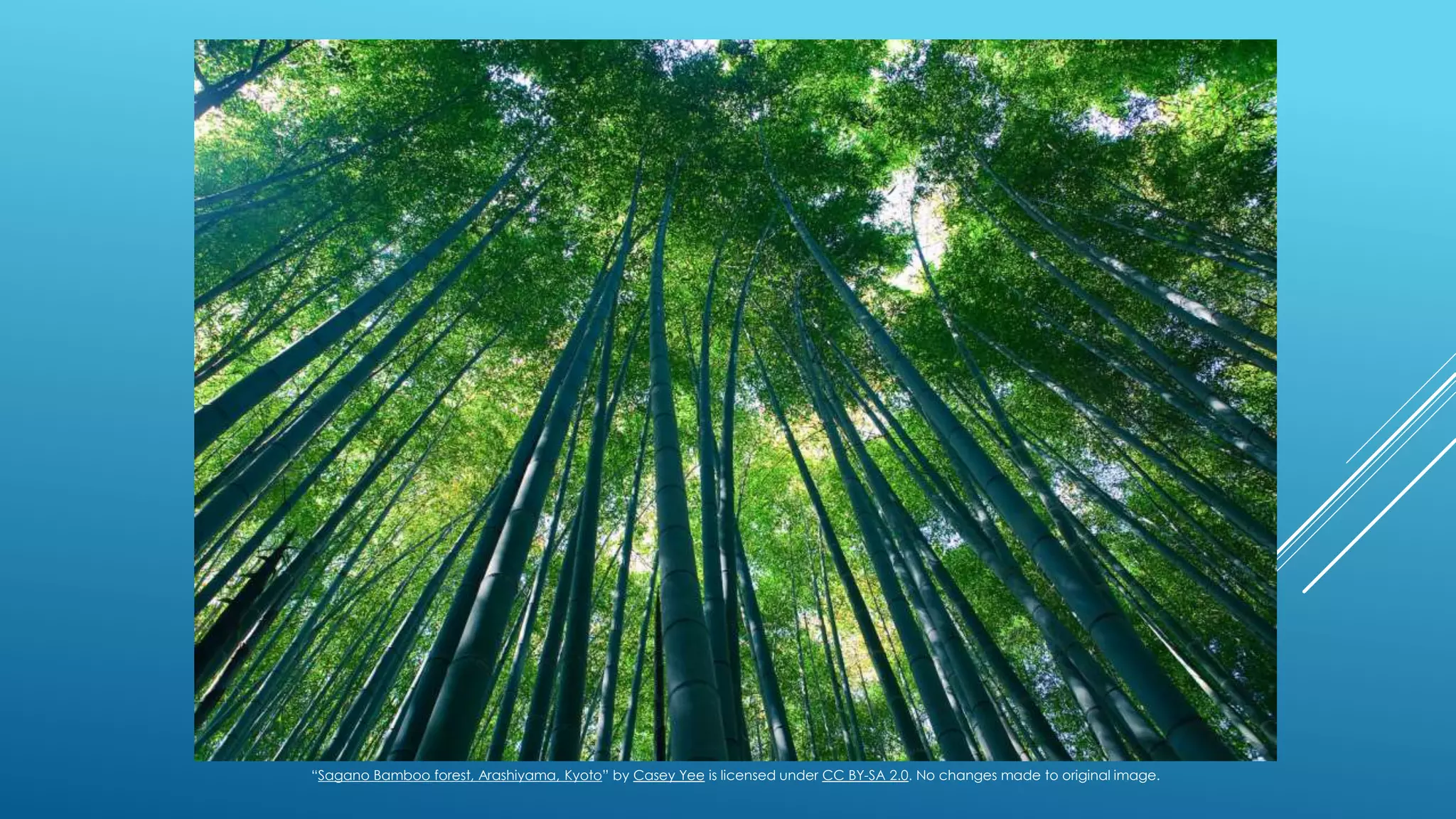 Shakespeare’s Sonnet 60 | PPTX