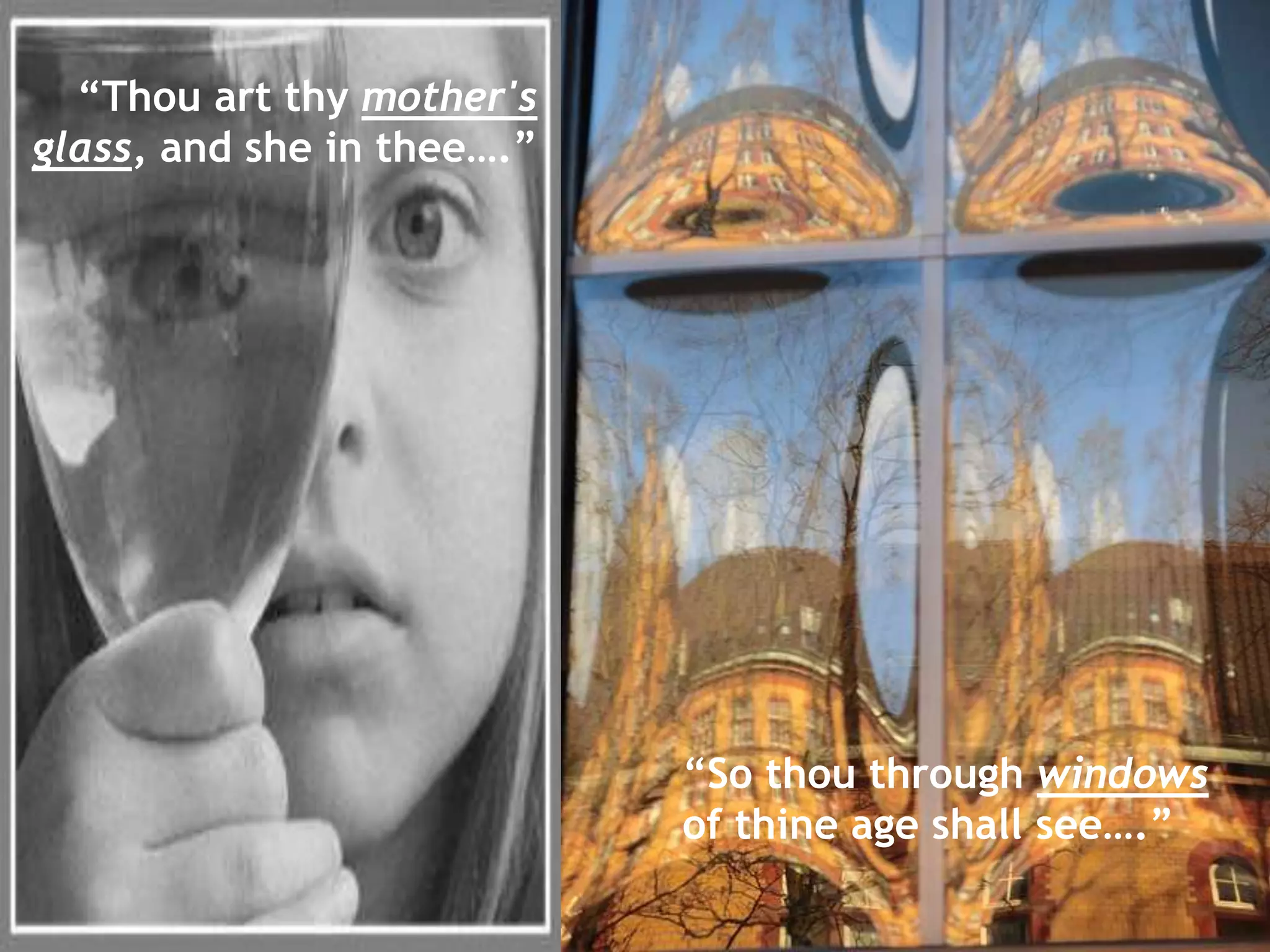 Shakespeare’s sonnet 3 | PPTX