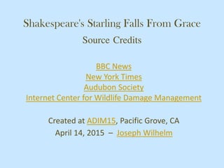 Shakespeare's Starling Falls from Grace | PPT