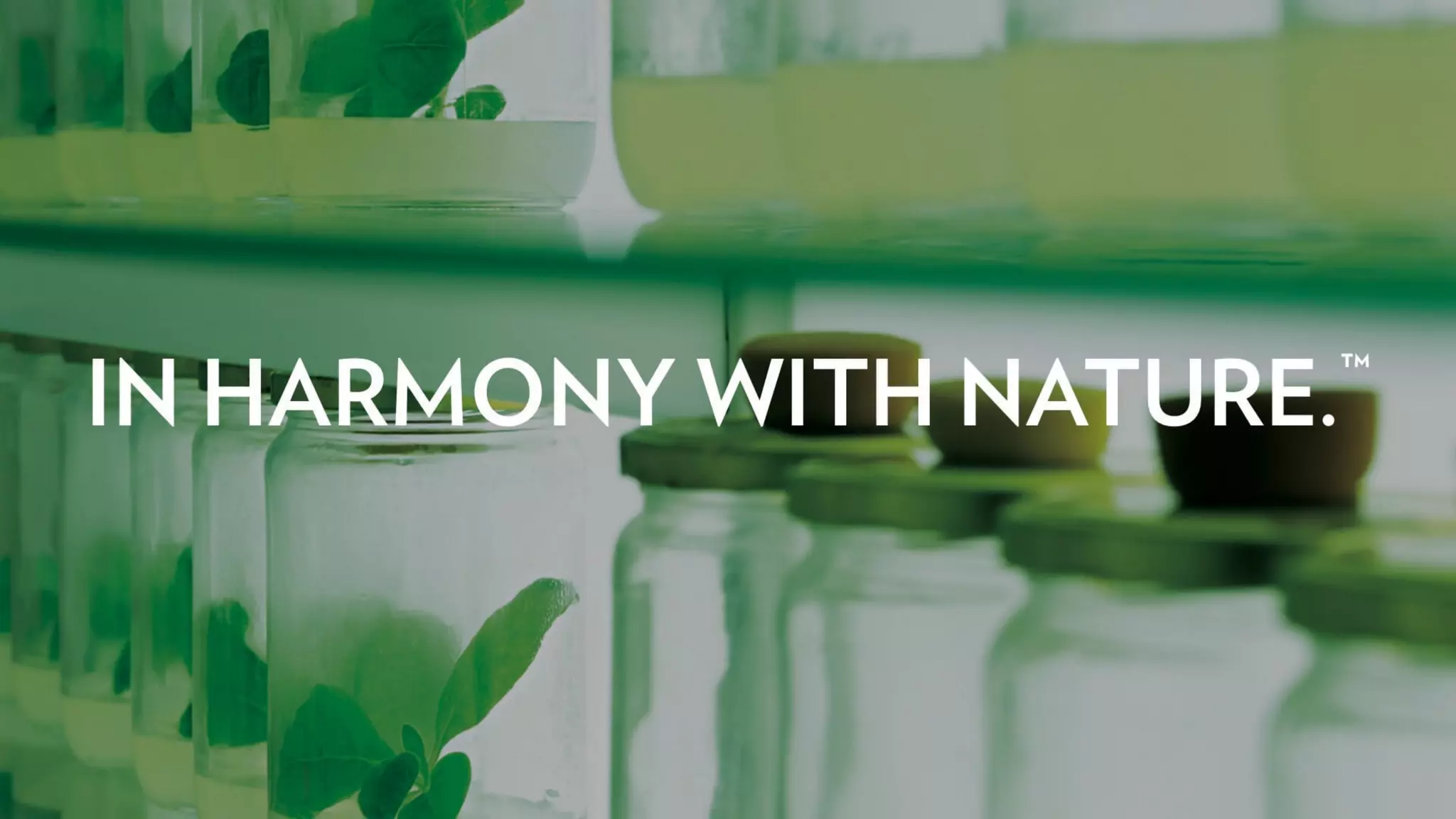 The Shaklee difference | PPT