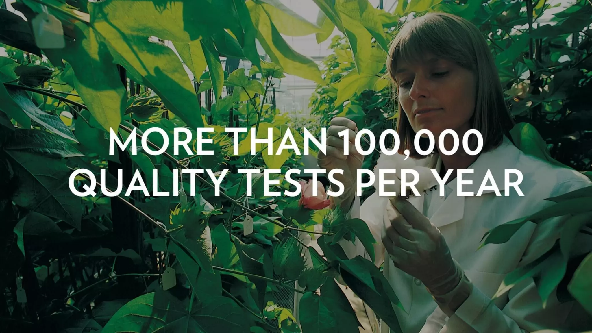 The Shaklee difference | PPT