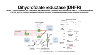 dihydrofolate reductase inhibitor | PDF