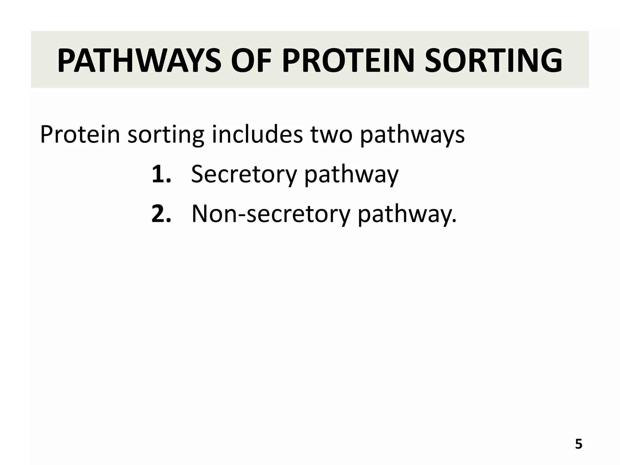 PROTEIN SORTING THROUGH NON-SECRETORY PATHWAY | PPTX