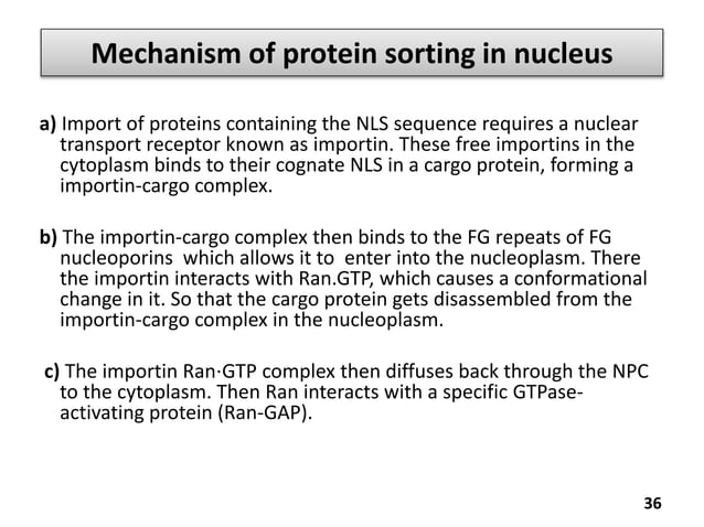 PROTEIN SORTING THROUGH NON-SECRETORY PATHWAY | PPT