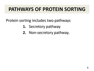 PROTEIN SORTING THROUGH NON-SECRETORY PATHWAY | PPT