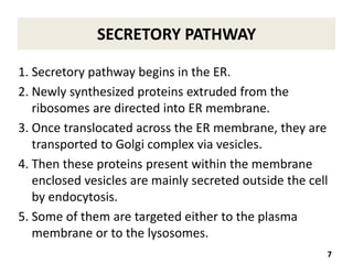 PROTEIN SORTING THROUGH NON-SECRETORY PATHWAY | PPTX