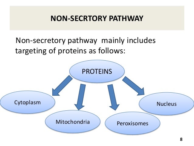 PROTEIN SORTING THROUGH NON-SECRETORY PATHWAY