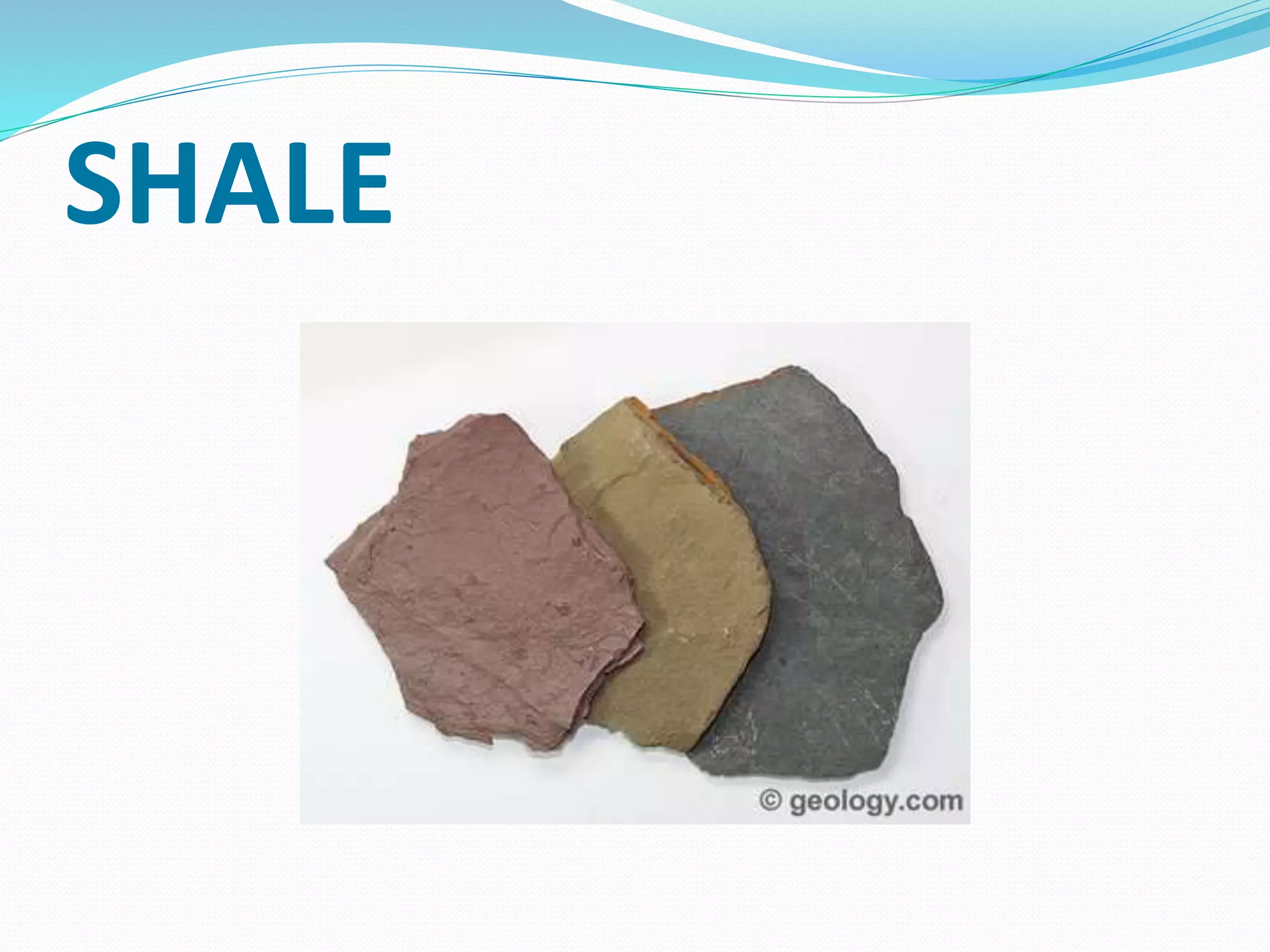 Shale | PPTX | Geology | Science