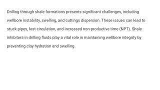 Shale Inhibitors in Drilling Fluids_ Protecting Wellbore Stability.pdf