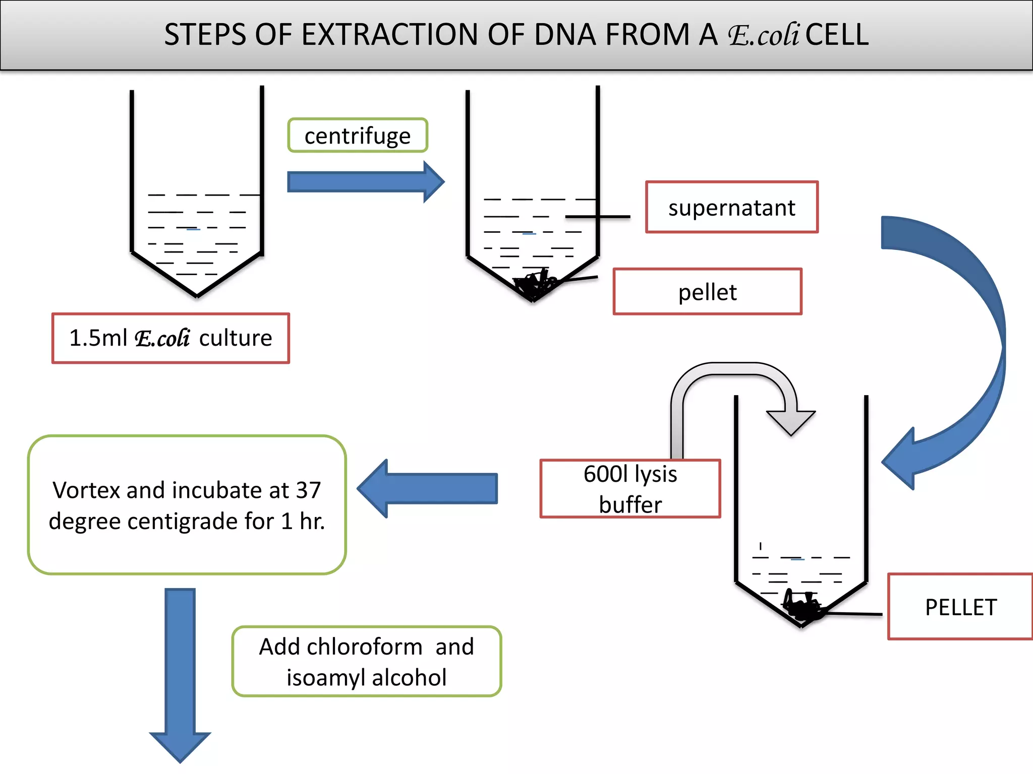 basic techniques of biotechnology | PPTX