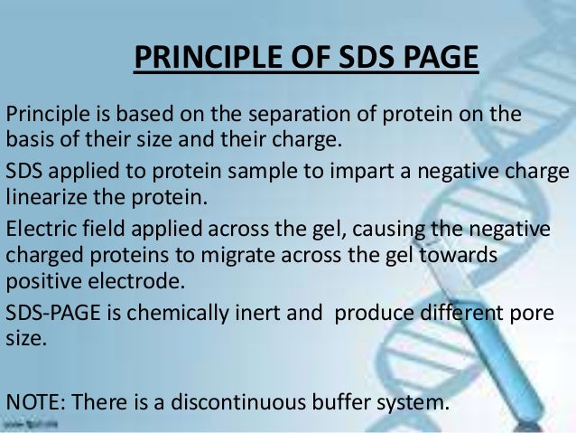 basic techniques of biotechnology