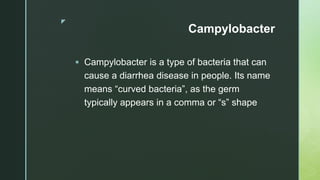 shalini microbiology presentation ppt.pptx