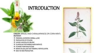 Shalini mint ppt | PPTX