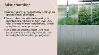 Propagation structures.pptxdfdmcdhdbdfdb | PPTX
