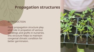 Propagation structures.pptxdfdmcdhdbdfdb | PPTX