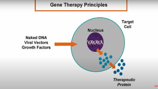 Genetically Engineered Stem Cells in Gene Therapy and.pptx
