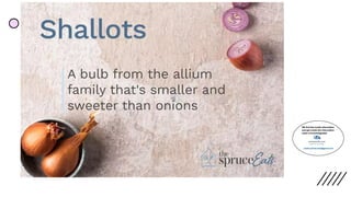 Shallots | PDF