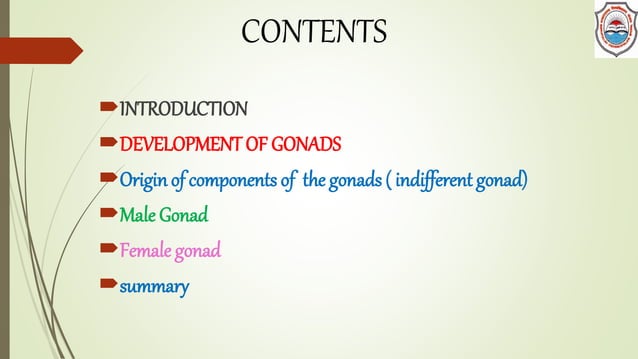 Development of gonads (Gonad differentiation)male gonad and female ...