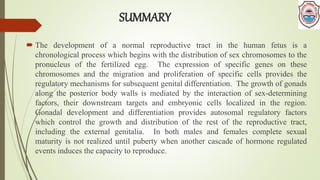 Development of gonads (Gonad differentiation)male gonad and female ...
