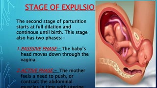 Physiology of pregnancy, placental hormones , parturition | PPTX