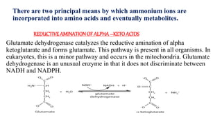biosynthesis of amino acids, carbohydrates | PPTX