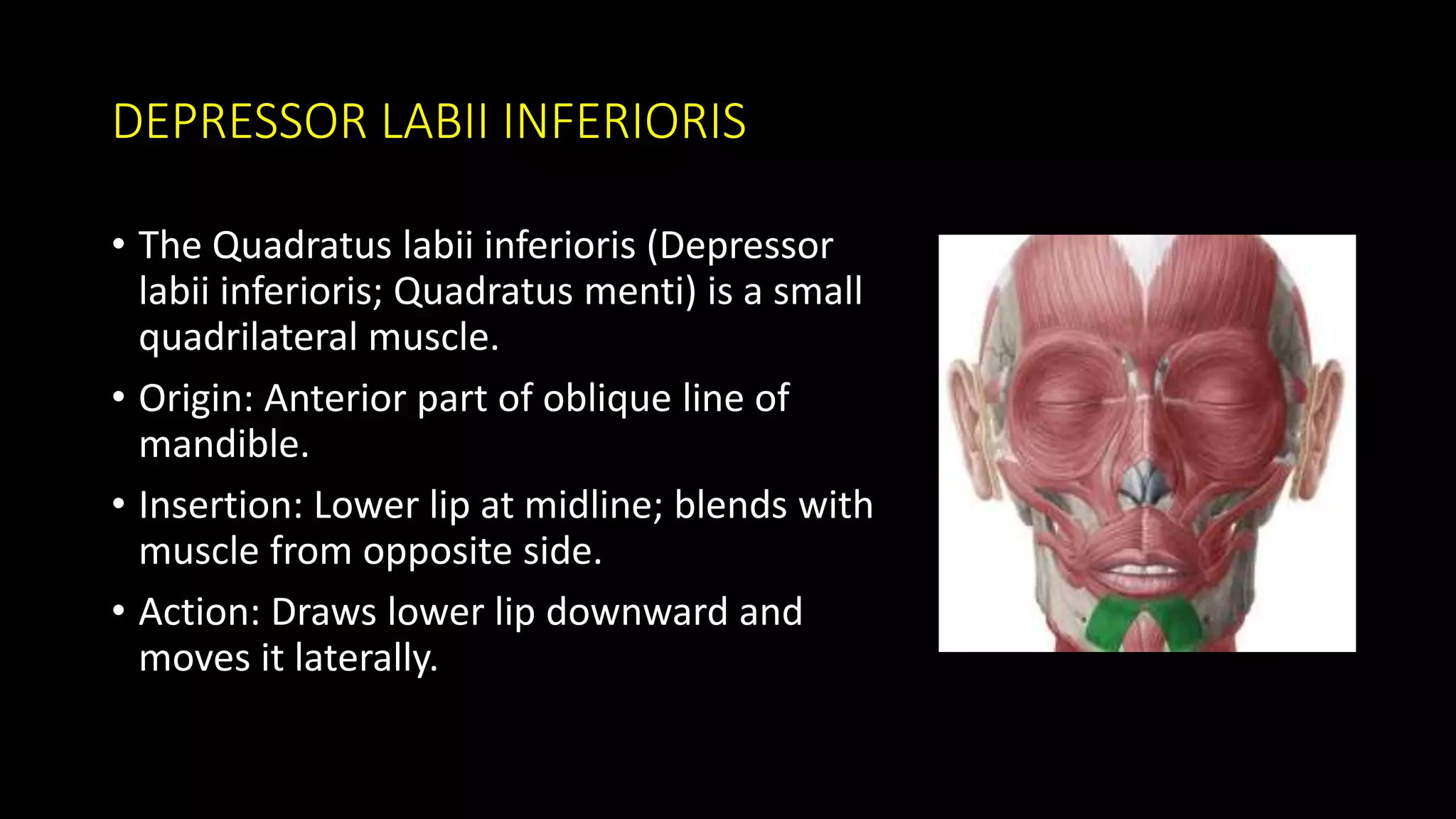 Muscles of Facial expressions | PPTX