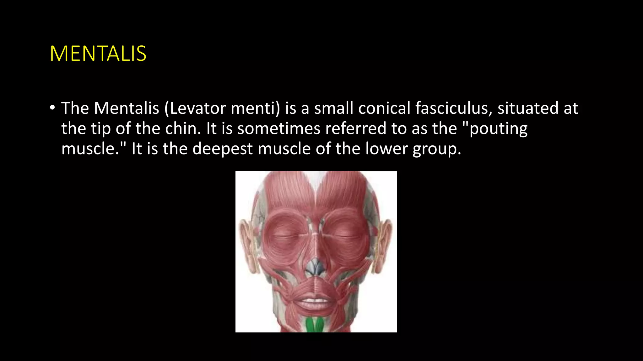 Muscles of Facial expressions | PPTX