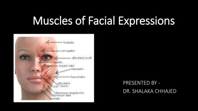 Muscles of Facial expressions | PPTX | Dental Health | Diseases and ...