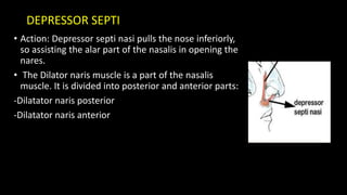Muscles of Facial expressions | PPTX