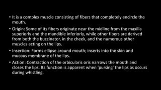 Muscles of Facial expressions | PPTX