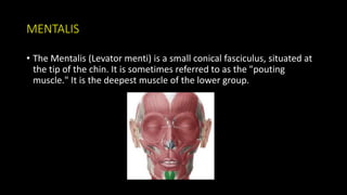 Muscles of Facial expressions | PPTX