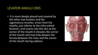 Muscles of Facial expressions | PPTX