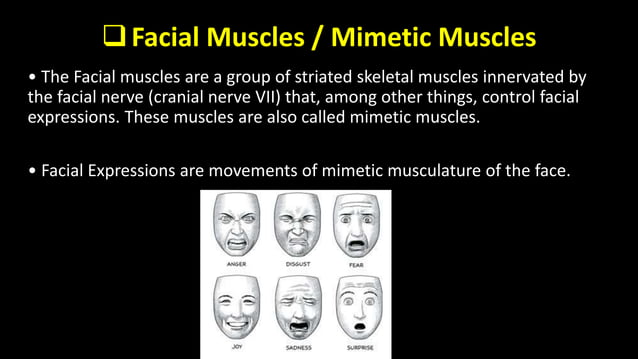 Muscles of Facial expressions | PPTX | Dental Health | Diseases and ...