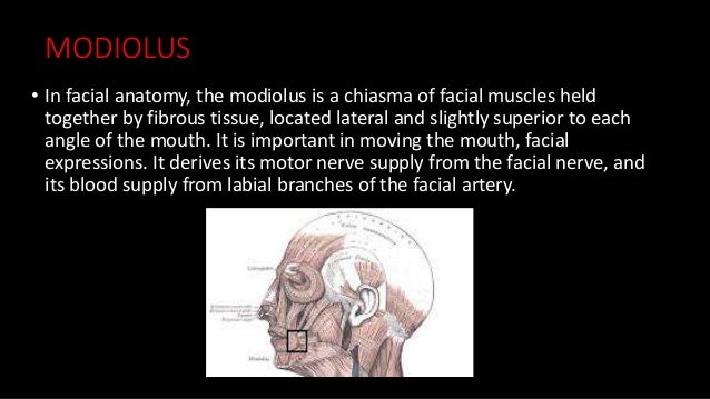 Muscles of Facial expressions