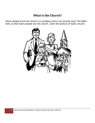 Shalom christian education the books of the new testament worksheets | PDF