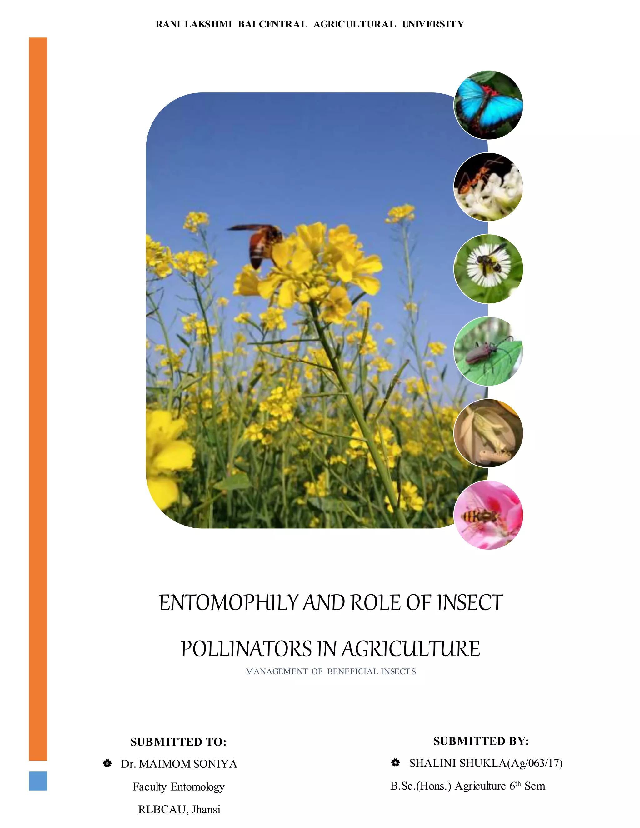 Shalu entomophily | PDF