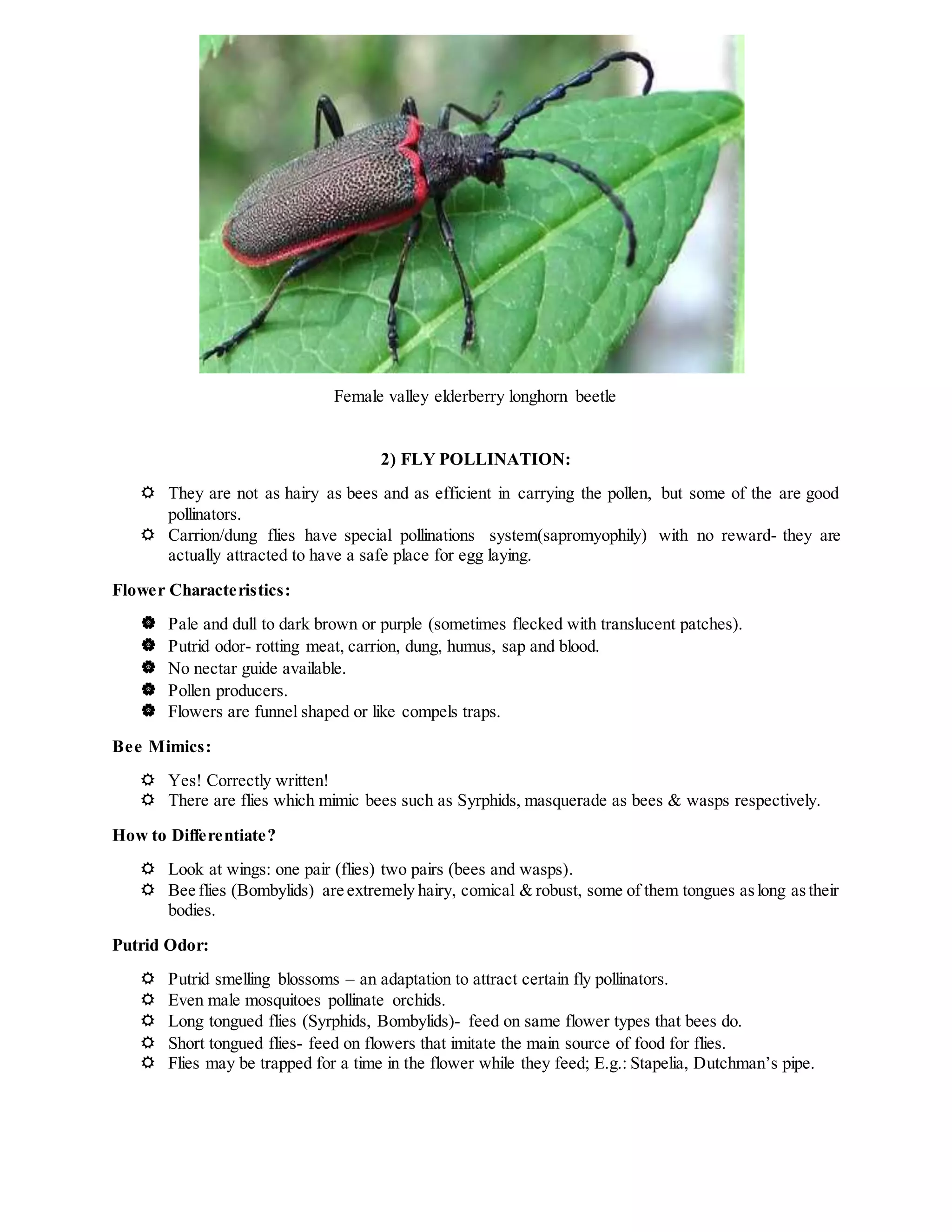 Shalu entomophily | PDF