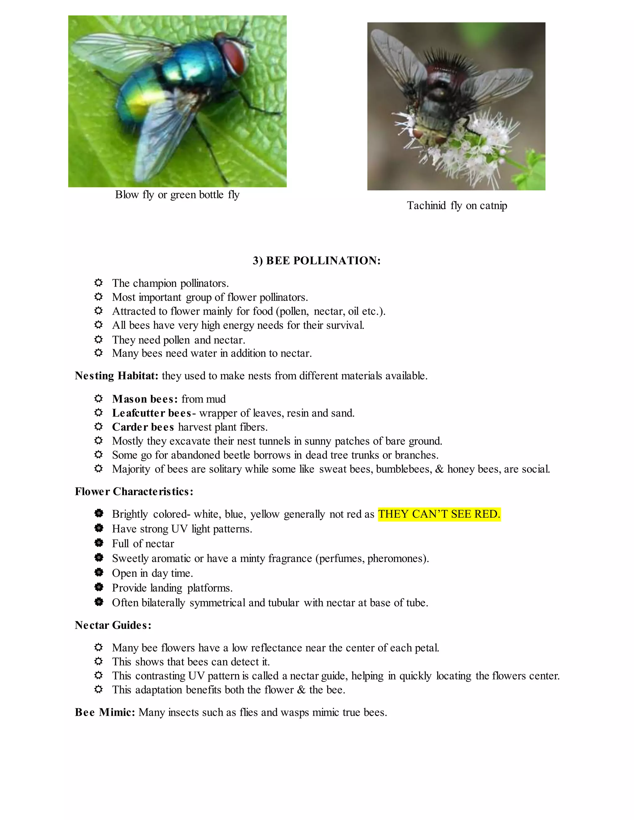 Shalu entomophily | PDF