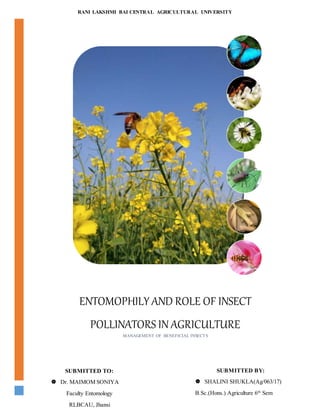 Shalu entomophily | DOCX | Beekeeping | Hobbies & Interests